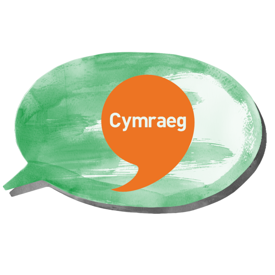 Cymraeg / Welsh Language - Carmarthenshire Family Information Service